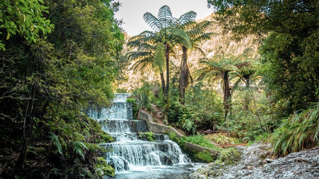 Hutt Valley Runners - Hutt Valley Runners